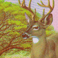 COSTA RICA – Stampboxx