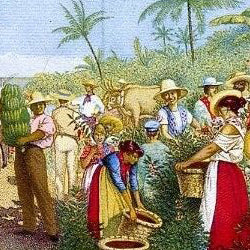 COSTA RICA – Stampboxx